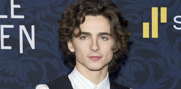 Timothée Chalamet Quiz - Only His Super Fans Can Answer This! - Quiz & Trivia